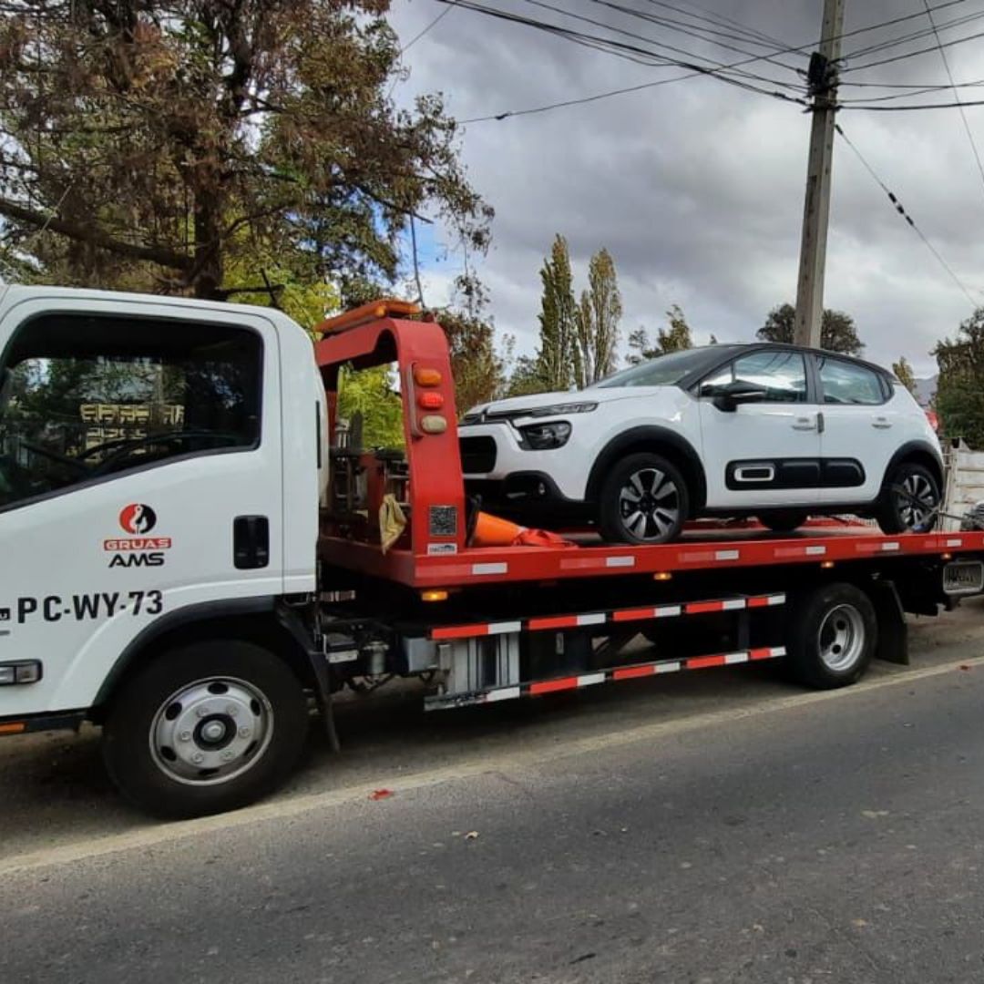 SERVICIOS - Gruas AMS